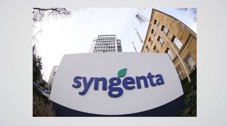 Syngenta eyes Bayer assets in whirlwind of agrochem deals