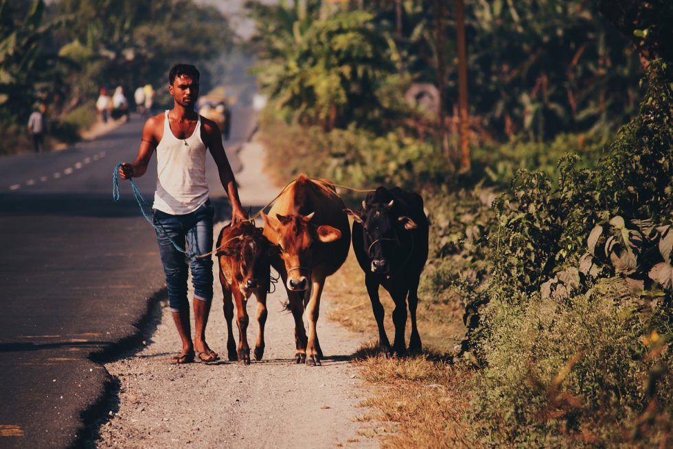 Indian rural lending startup SarvaGram in talks to raise funds from ...