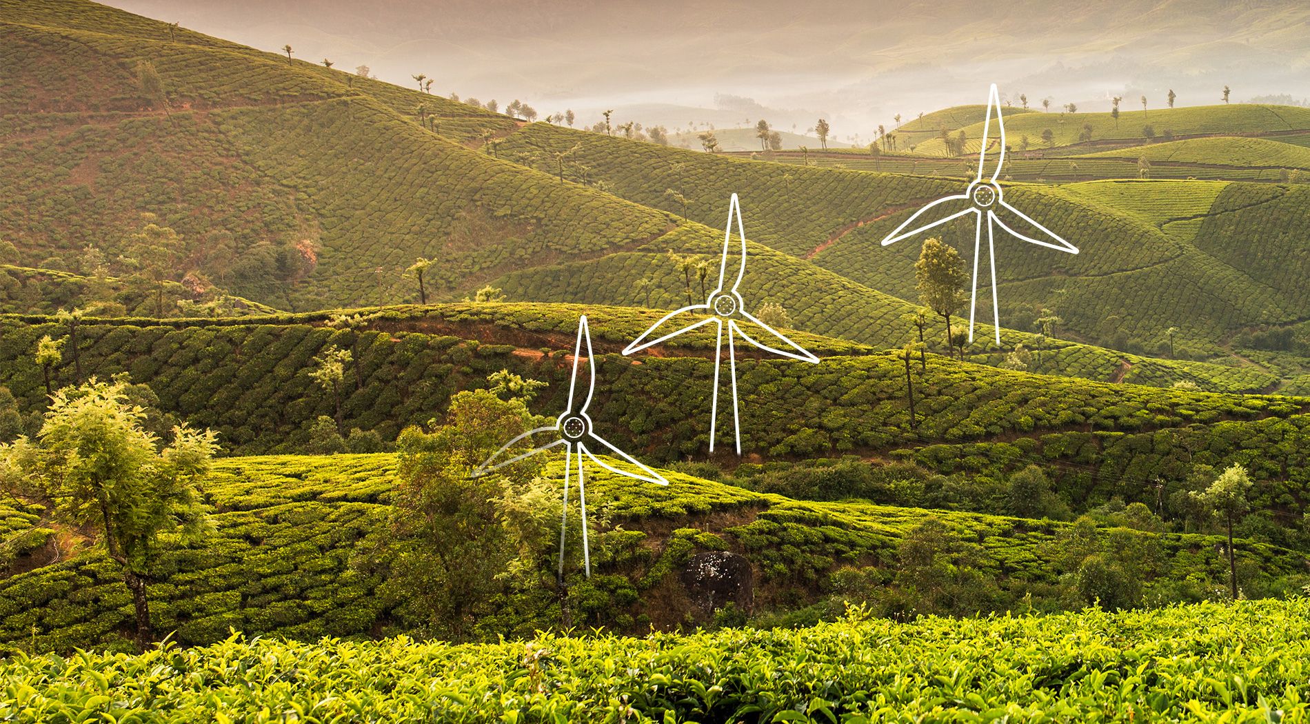 IFC mulls $100m investment in Global Climate Partnership Fund